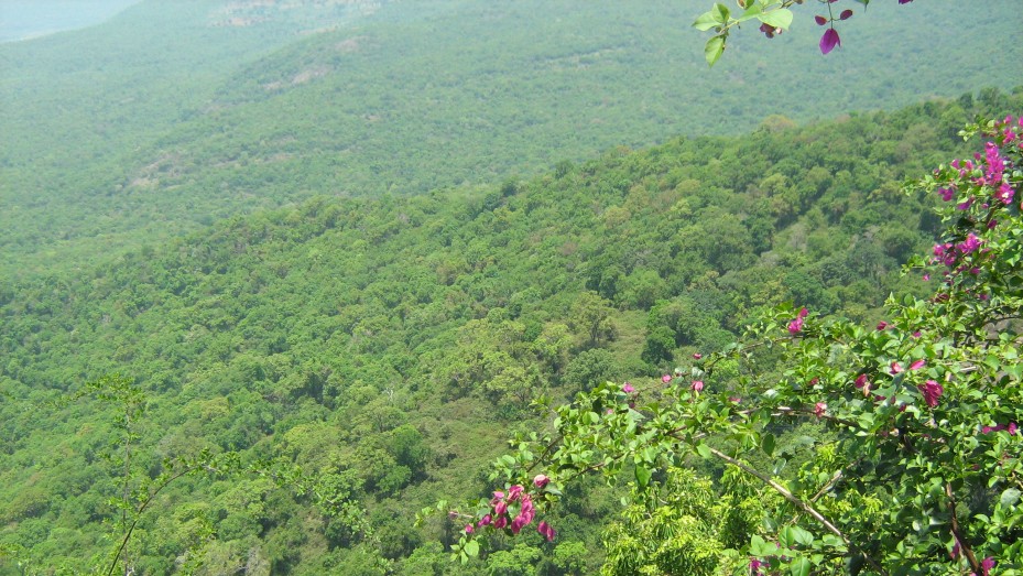 BR Hills Photos, Pictures of Famous Tourist Places and Attractions ...