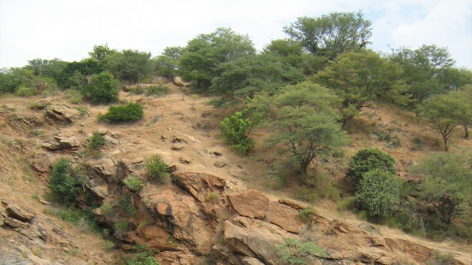 Muthathi Photos, Pictures of Famous Tourist Places and Attractions ...