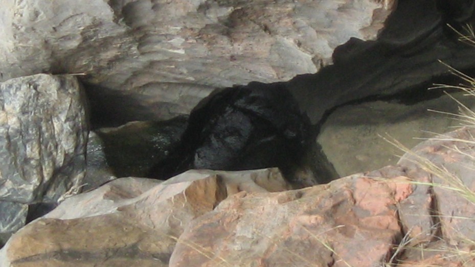 Muthathi Photos, Pictures of Famous Tourist Places and Attractions ...