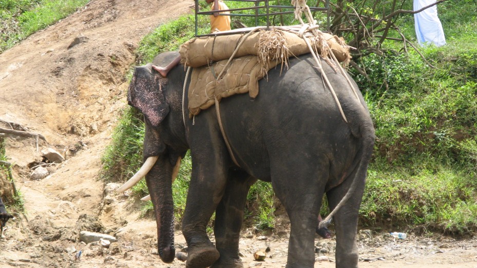 Dubare Photos, Pictures of Famous Tourist Places and Attractions ...