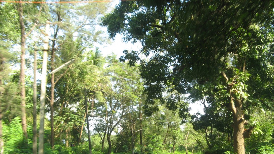 Kateel Photos, Pictures of Famous Tourist Places and Attractions ...