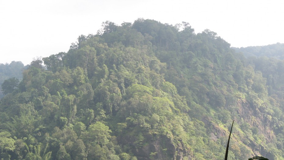 Yellapur Photos, Pictures of Famous Tourist Places and Attractions ...