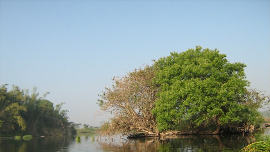 Ranganathittu Bird Sanctuary Photos-NativePlanet