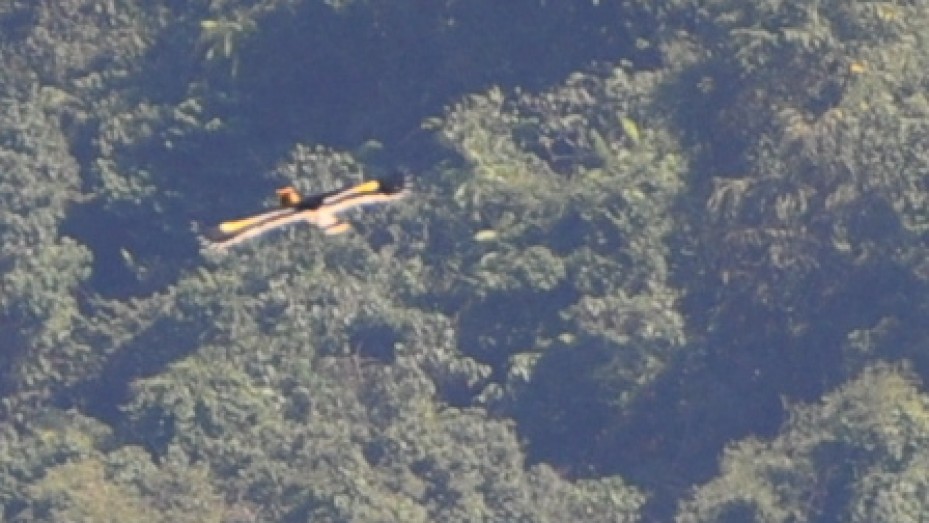 Sharavathi Valley Wildlife Sanctuary Photos-NativePlanet