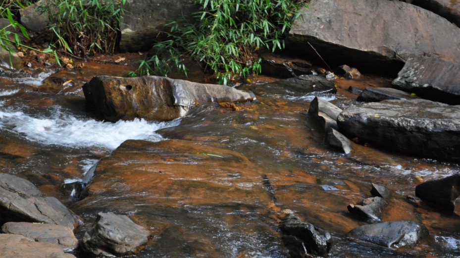 Sringeri Photos, Pictures of Famous Tourist Places and Attractions ...
