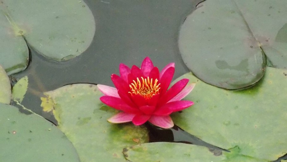 Ri Bhoi Photos, Pictures of Famous Tourist Places and Attractions ...