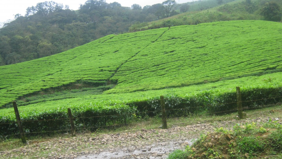 Vagamon Photos, Pictures of Famous Tourist Places and Attractions ...