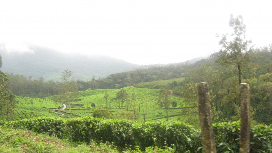 Vagamon Photos, Pictures of Famous Tourist Places and Attractions ...