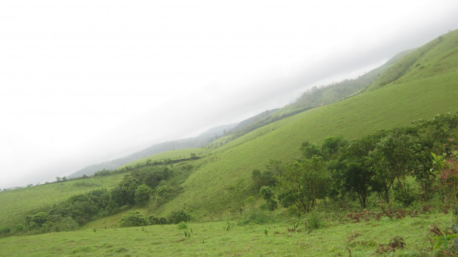 Vagamon Photos, Pictures of Famous Tourist Places and Attractions ...