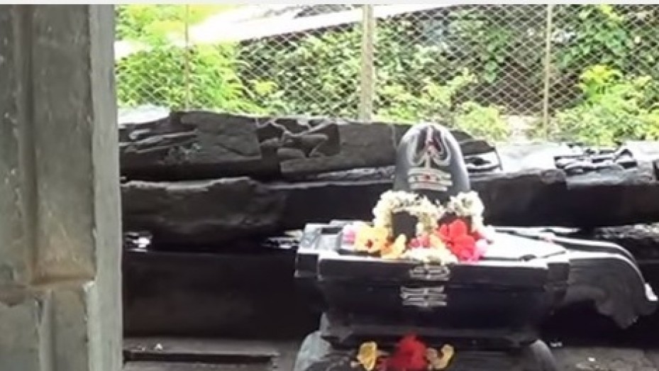 Bhadra Photos, Pictures of Famous Tourist Places and Attractions ...