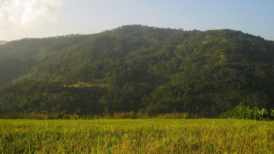 Places to Visit in Haflong: Tourist Places in Haflong, Haflong Tourism ...