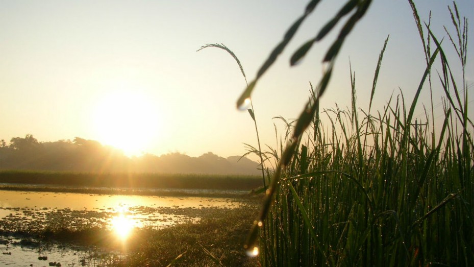 Bindu Photos, Pictures of Famous Tourist Places and Attractions ...