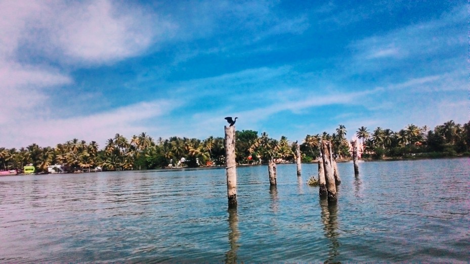 Kayamkulam Lake - Alleppey | Kayamkulam Lake Photos, Sightseeing ...