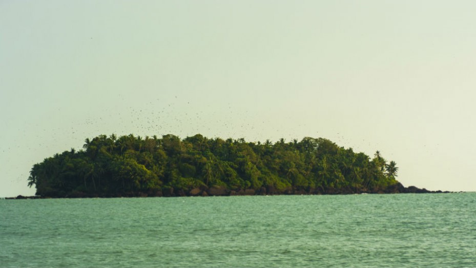 Dharmadam Island - Kannur / 2023 | Dharmadam Island Photos, Sightseeing ...