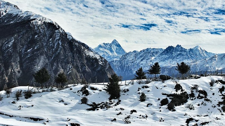 Auli Tourism, Travel Guide & Tourist Places in Auli-NativePlanet