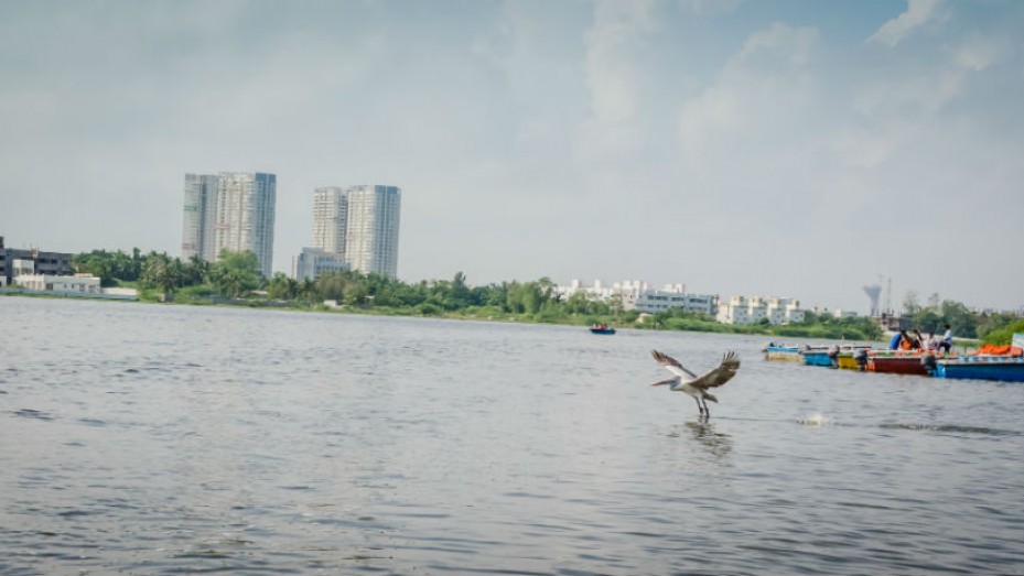 Muttukadu Backwaters - Covelong | Muttukadu Backwaters Photos ...
