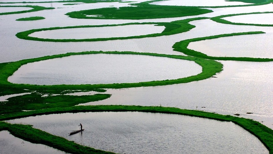 Loktak Lake - Bishnupur | Loktak Lake Photos, Sightseeing -NativePlanet