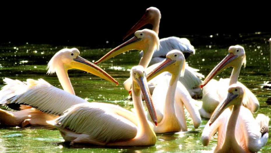 Vishala - Ahmedabad | Vishala Photos, Sightseeing -NativePlanet