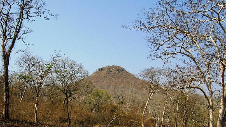 Bandipur Photos, Pictures of Famous Tourist Places and Attractions ...