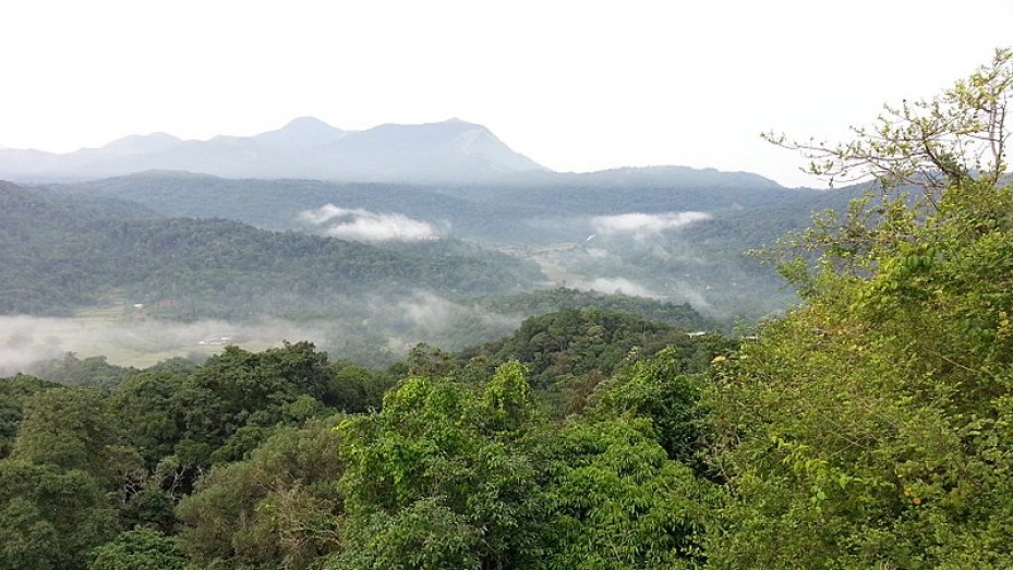 Coorg Photos, Pictures of Famous Tourist Places and Attractions ...