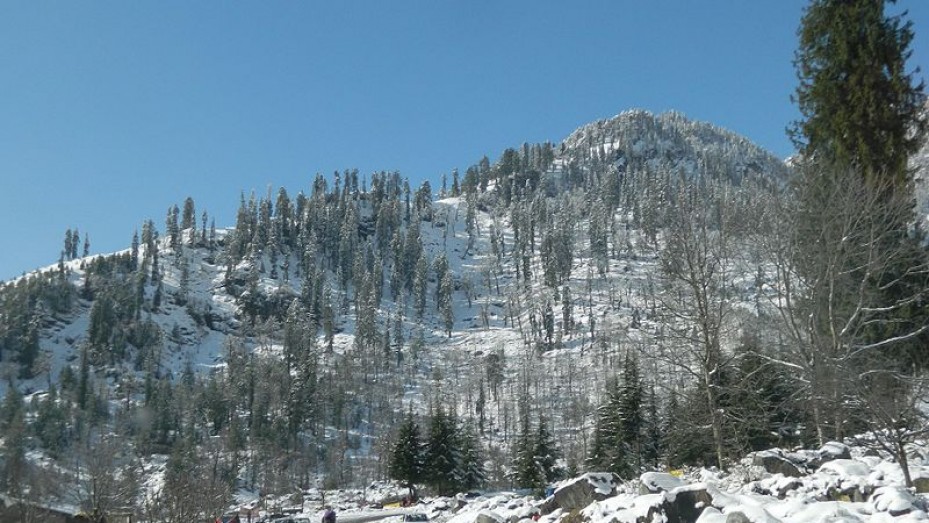 Manali Photos, Pictures of Famous Tourist Places and Attractions ...