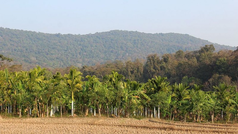 Sringeri Photos, Pictures of Famous Tourist Places and Attractions ...