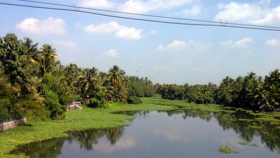 Kalady Photos, Pictures of Famous Tourist Places and Attractions ...
