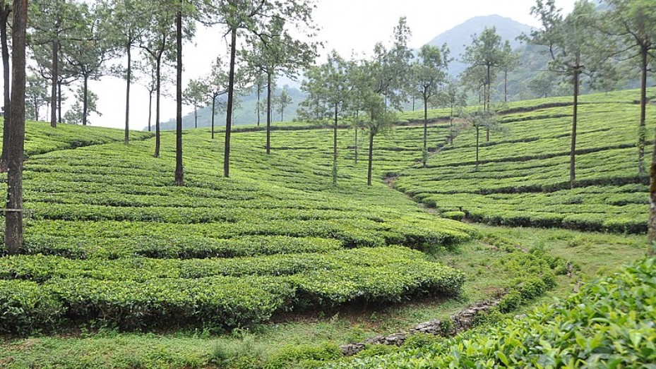 Vagamon Photos, Pictures of Famous Tourist Places and Attractions ...