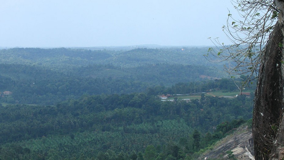 Kalpetta Photos, Pictures of Famous Tourist Places and Attractions ...