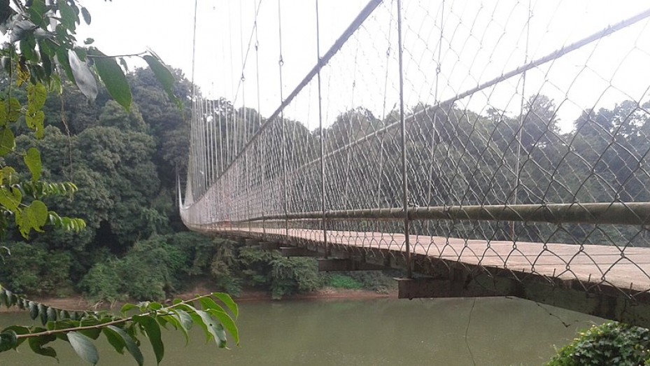 Nilambur Photos, Pictures of Famous Tourist Places and Attractions ...