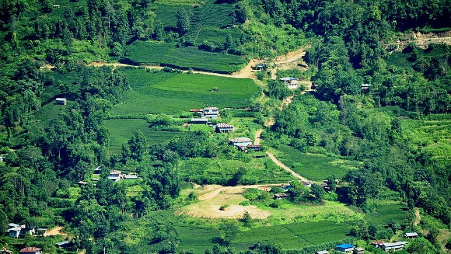 Jorhat Photos, Pictures of Famous Tourist Places and Attractions ...