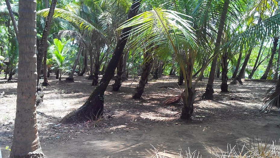 Pernem Photos, Pictures of Famous Tourist Places and Attractions ...