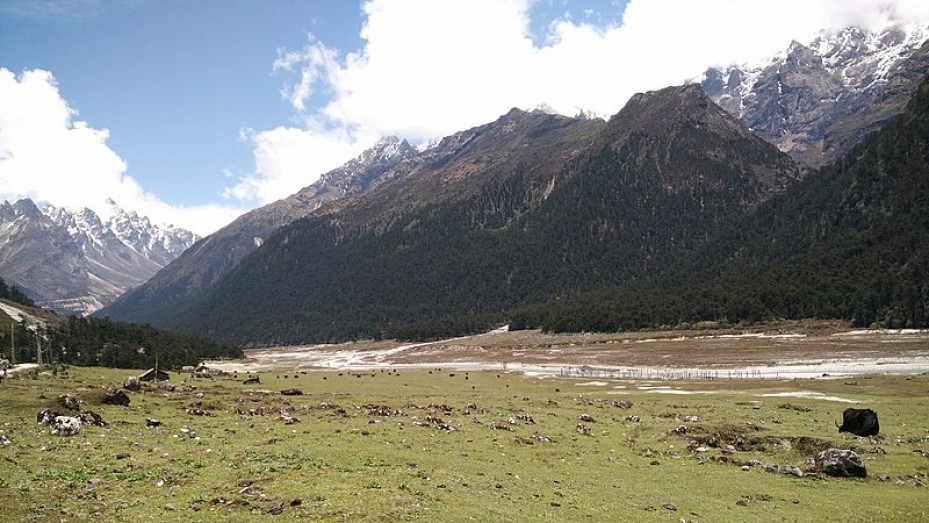 Yumthang Photos, Pictures of Famous Tourist Places and Attractions ...