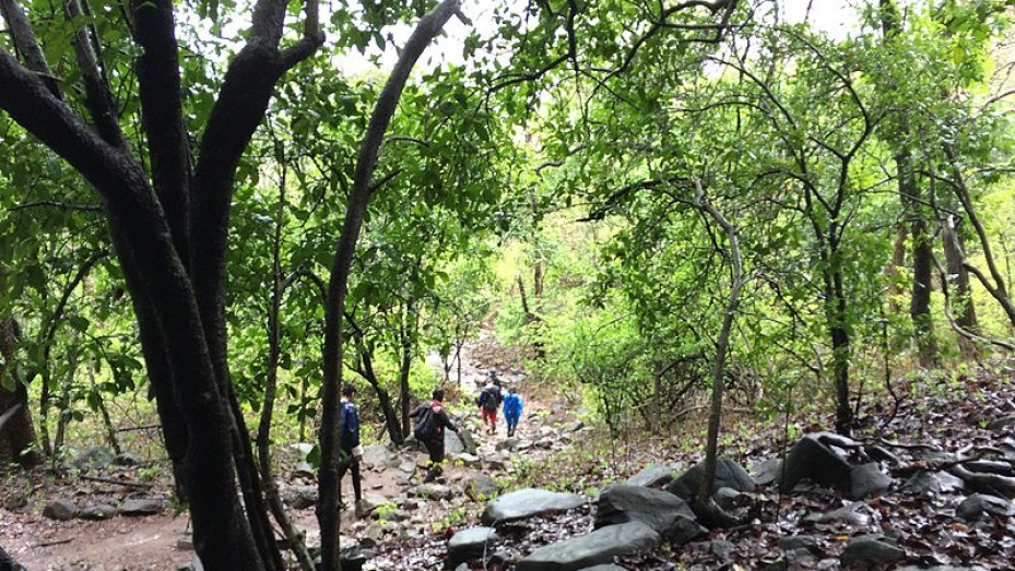 Karnala Photos, Pictures of Famous Tourist Places and Attractions ...