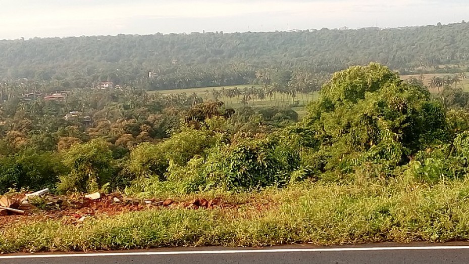 Ribandar Photos, Pictures of Famous Tourist Places and Attractions ...