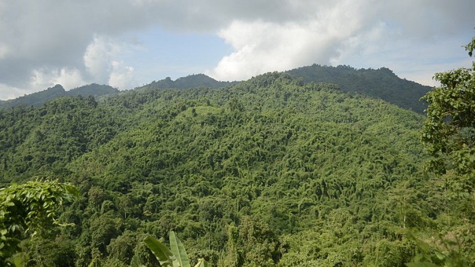 Wokha Photos, Pictures of Famous Tourist Places and Attractions ...