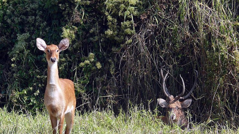 Kalburgi Photos, Pictures of Famous Tourist Places and Attractions ...