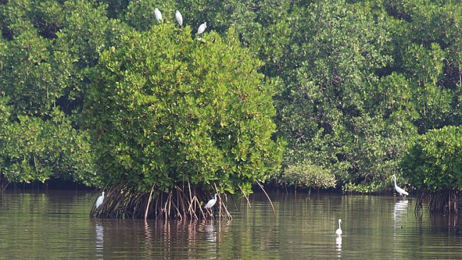 Places to Visit in Porvorim: Tourist Places in Porvorim, Porvorim ...