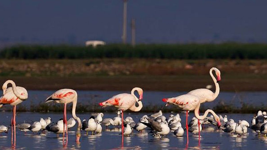 Baramati Photos, Pictures of Famous Tourist Places and Attractions ...