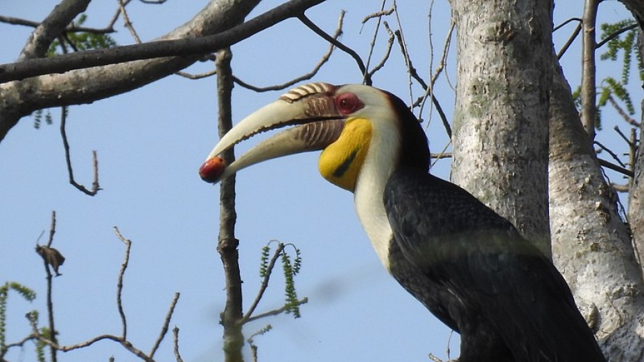 Pakke Tiger Reserve Photos, Pictures of Famous Tourist Places and ...