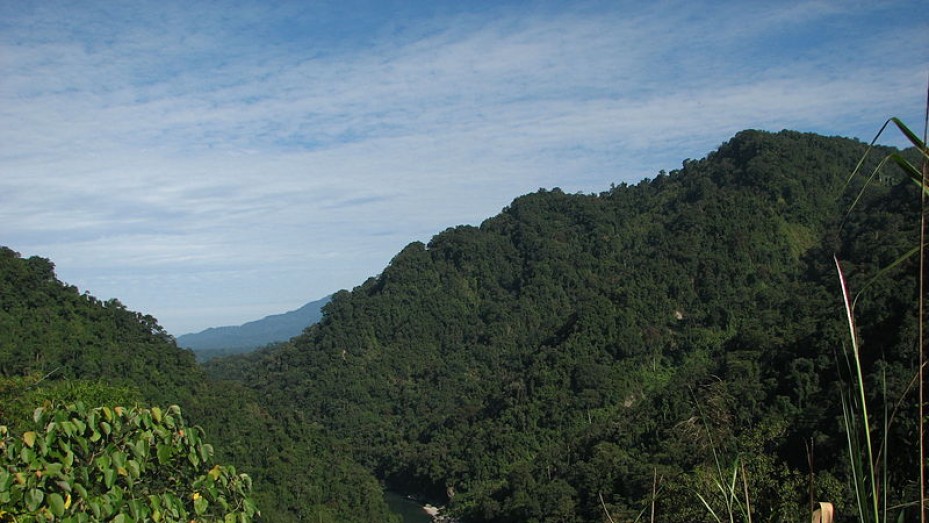 Namdapha National Park Photos, Pictures of Famous Tourist Places and ...