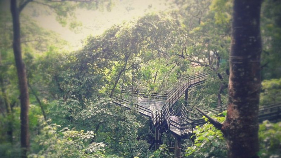 Punalur Photos, Pictures of Famous Tourist Places and Attractions ...