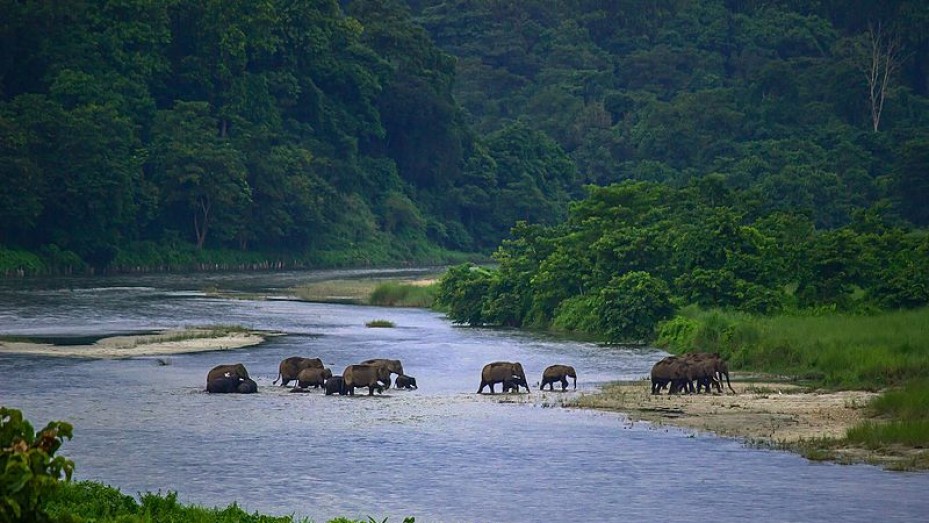 Places to Visit in Chalsa: Tourist Places in Chalsa, Chalsa Tourism ...