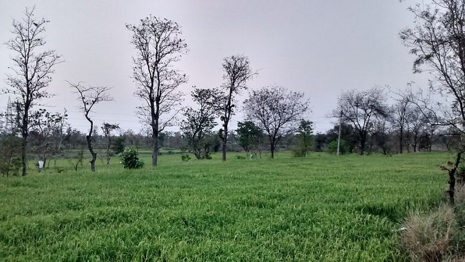 Mahasamund Photos, Pictures of Famous Tourist Places and Attractions ...