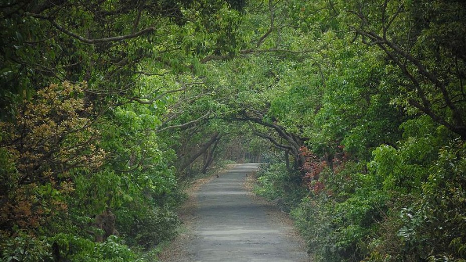 Pilibhit Photos, Pictures of Famous Tourist Places and Attractions ...