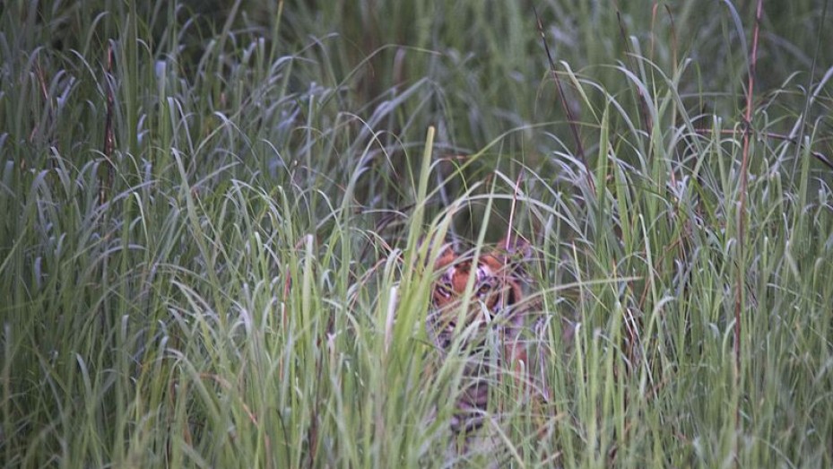 Gomat Taal Photos-NativePlanet