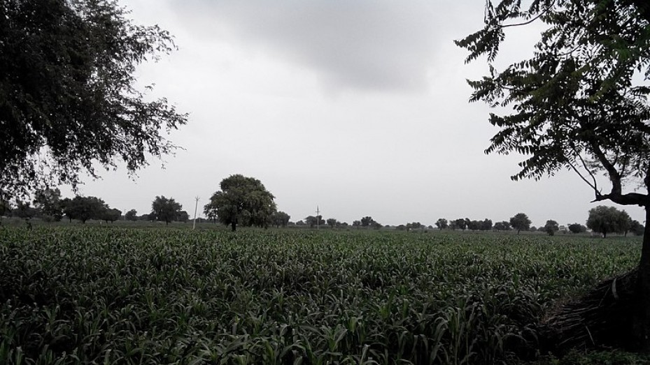 Rewari Photos, Pictures of Famous Tourist Places and Attractions ...