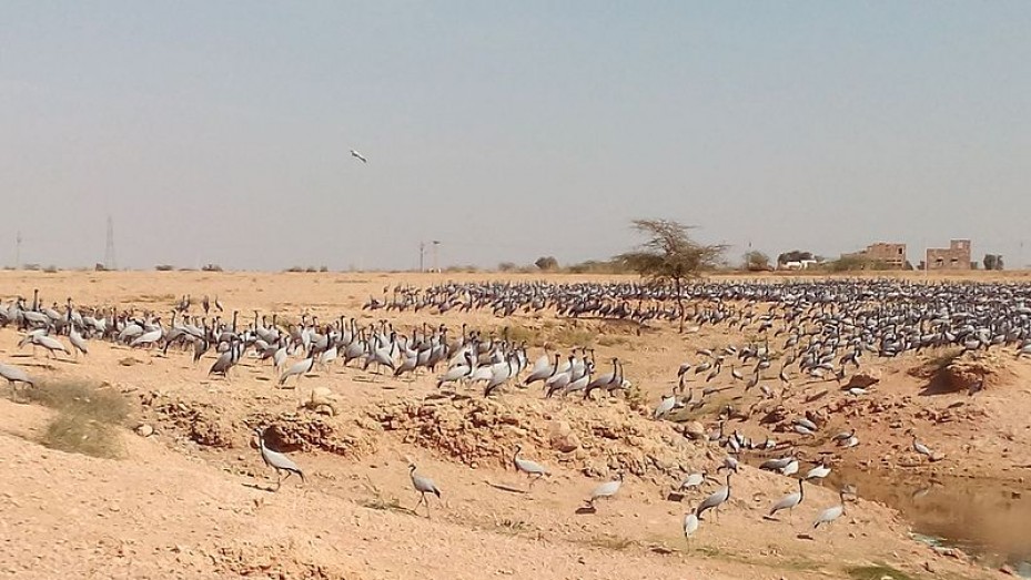 Kheechan Photos, Pictures of Famous Tourist Places and Attractions ...