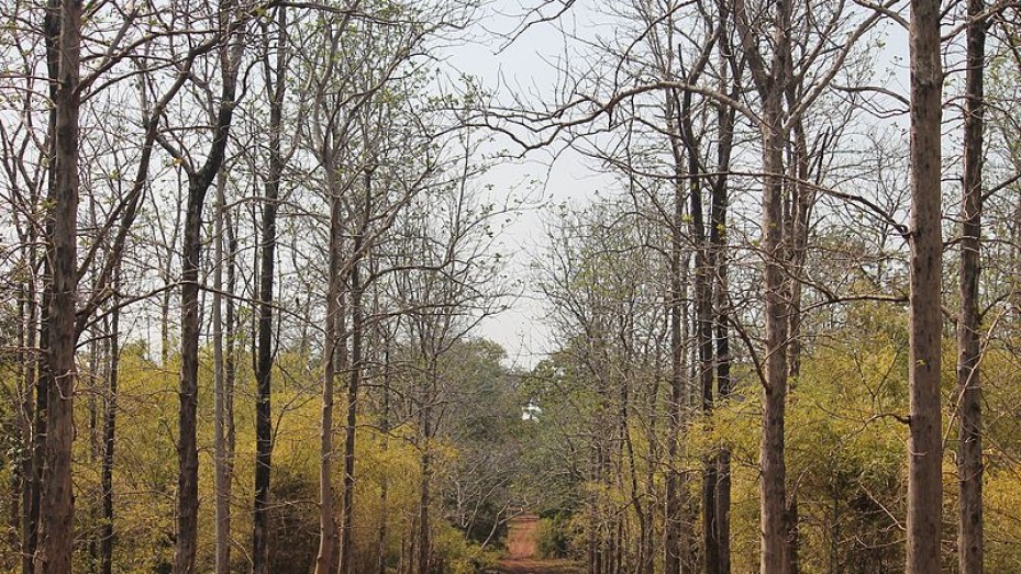 Places to Visit in Seoni: Tourist Places in Seoni, Seoni Tourism, Best ...