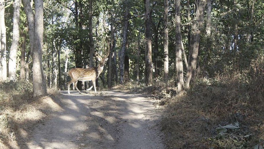 Seoni Photos, Pictures of Famous Tourist Places and Attractions ...